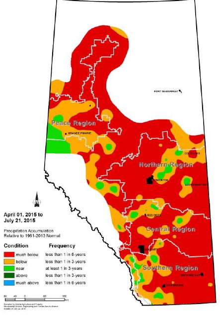 Alberta crop report - surface moisture up 10% | Blog | Flaman Agriculture